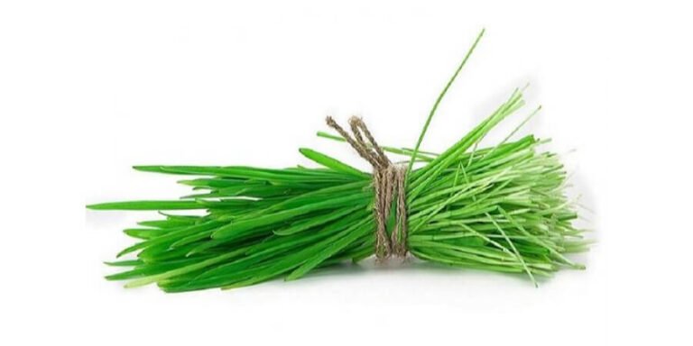 Druva Grass | Travancore Ayurveda Blog